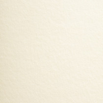 Fedrigoni Arena Rough Ivory - Shop Online - Immagine Srl